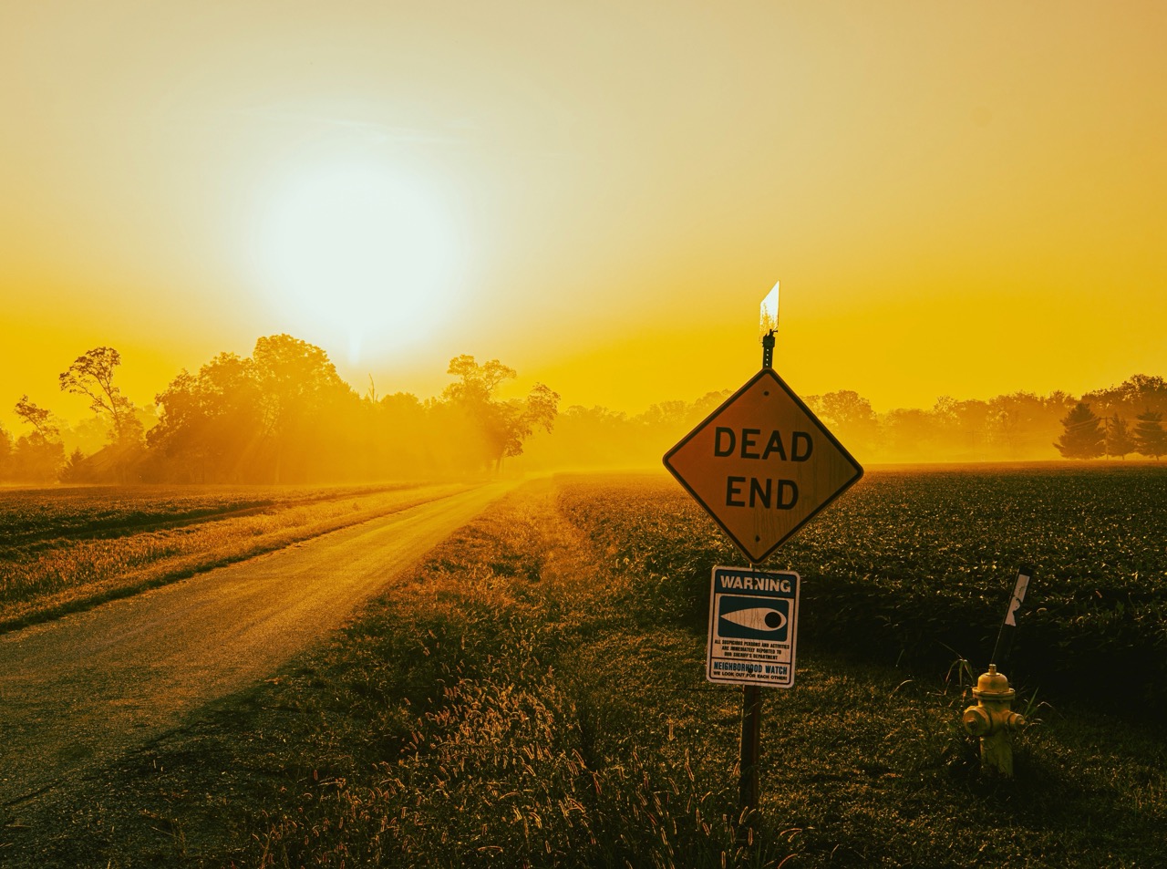 Dealing with Disappointment - Part I - Enjoying the Journey