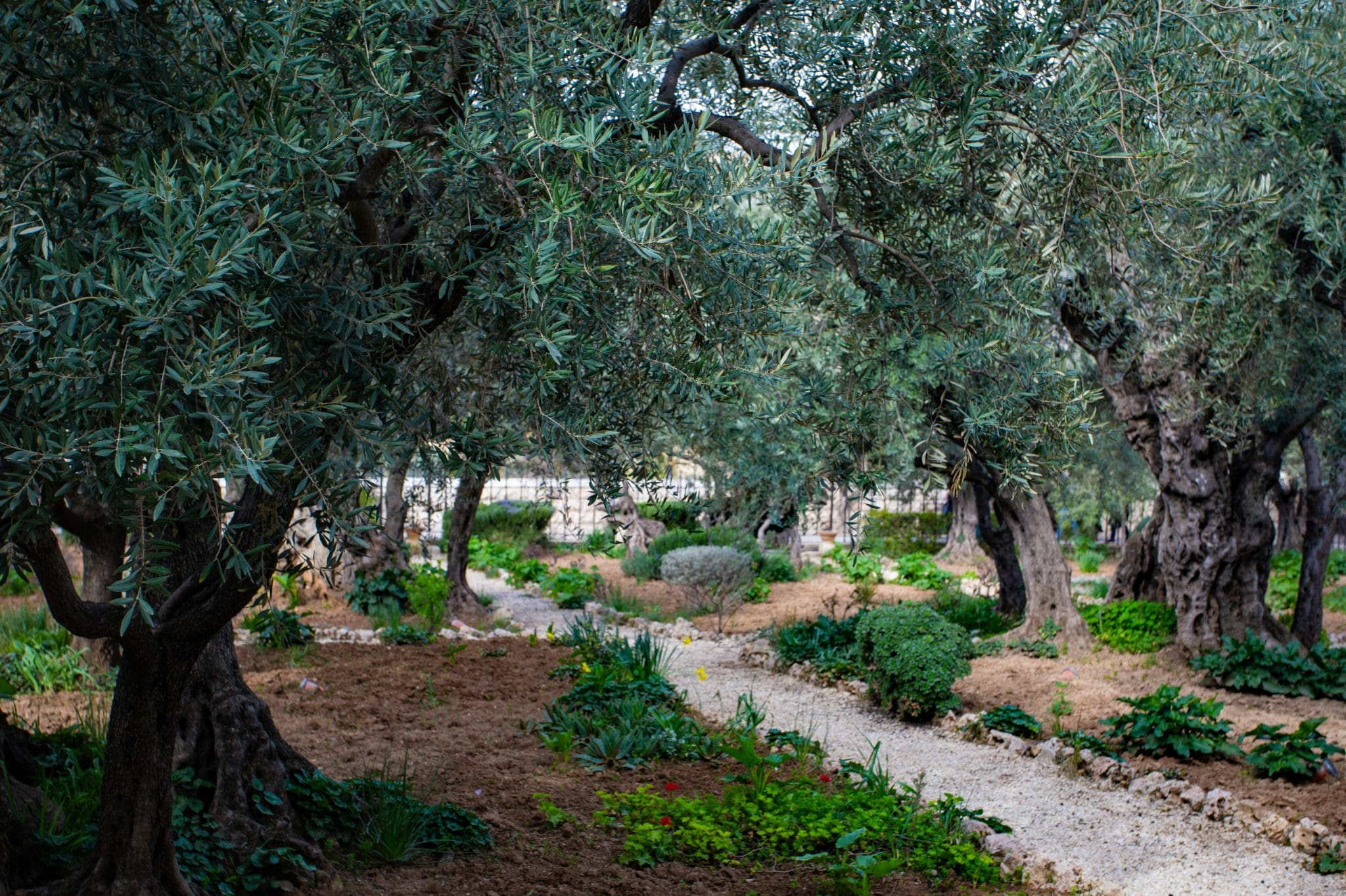 3 Times Jesus Wept And What We Learn From His Tears - Enjoying the Journey