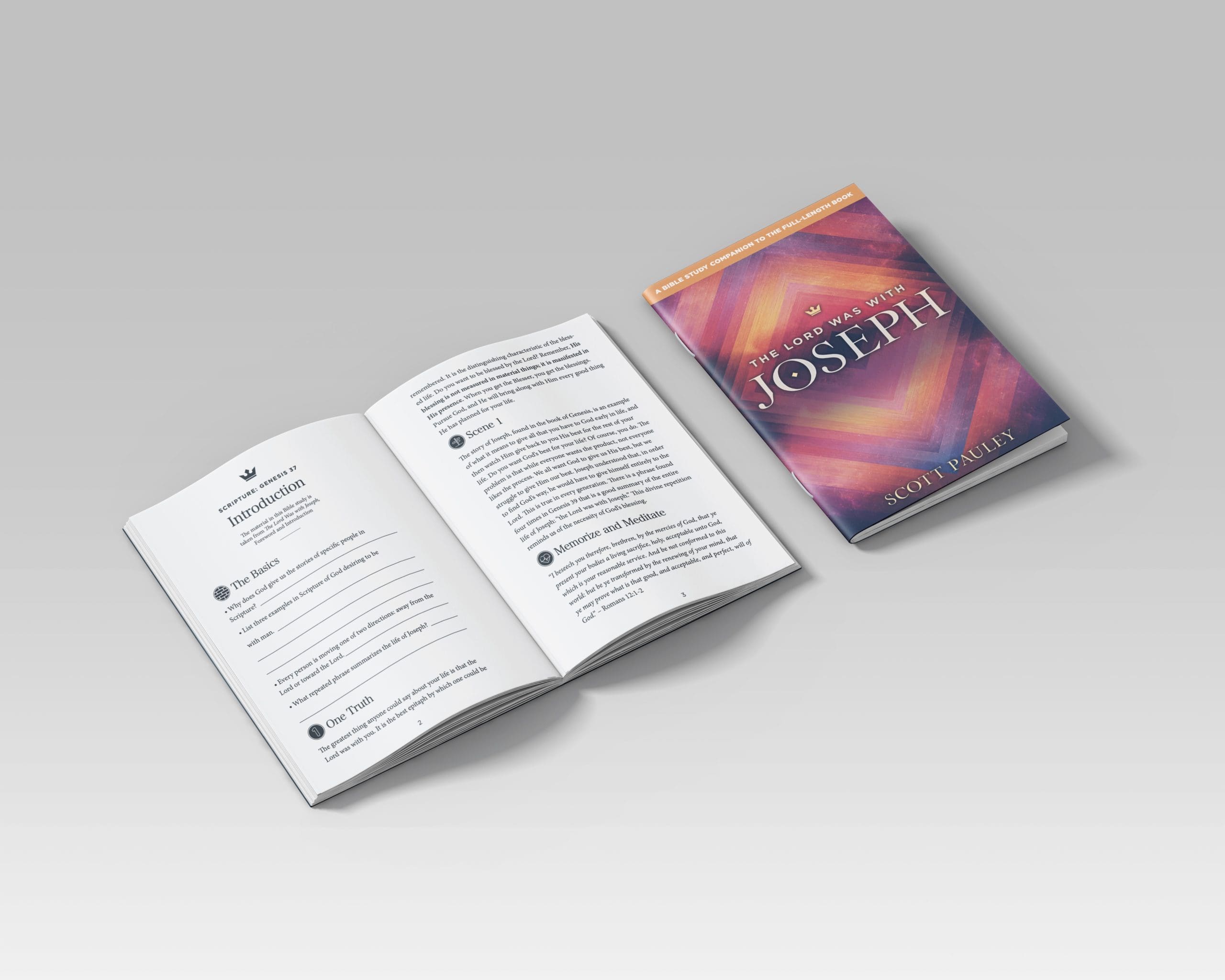 New Companion Study Guide (with bonus content!) - Enjoying the Journey