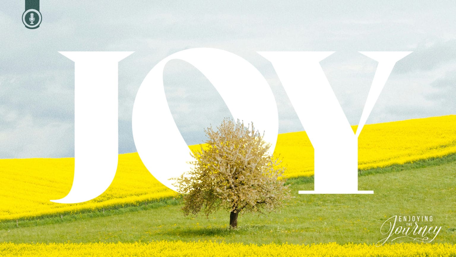 Study Nehemiah - Enjoying the Journey