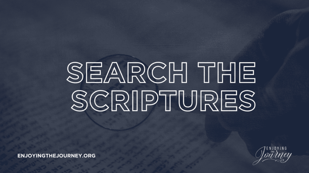 Search the Scriptures - Enjoying the Journey