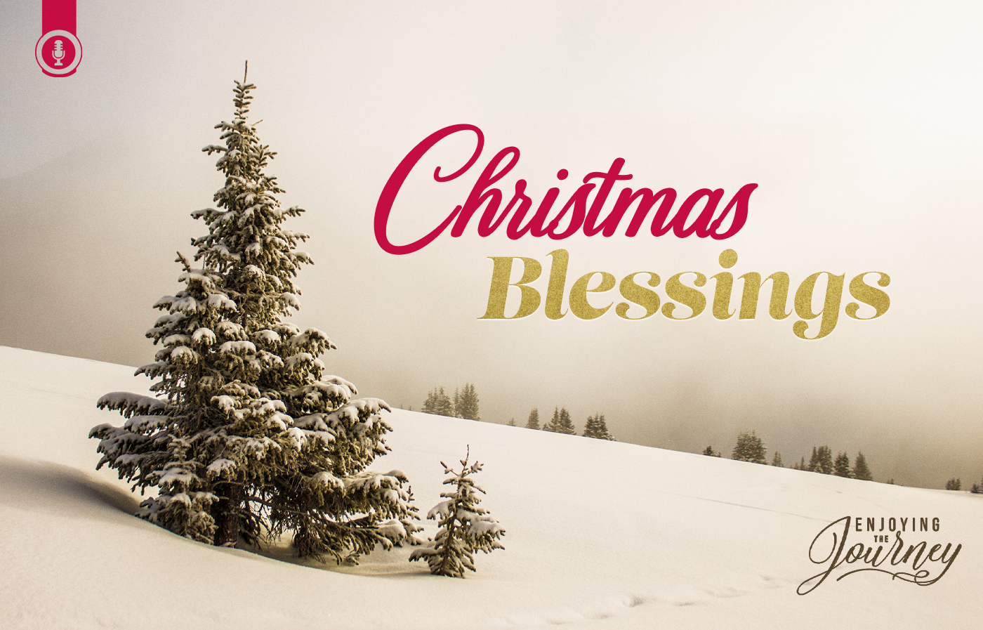 The First Christmas Message: Fear Not! - Enjoying the Journey
