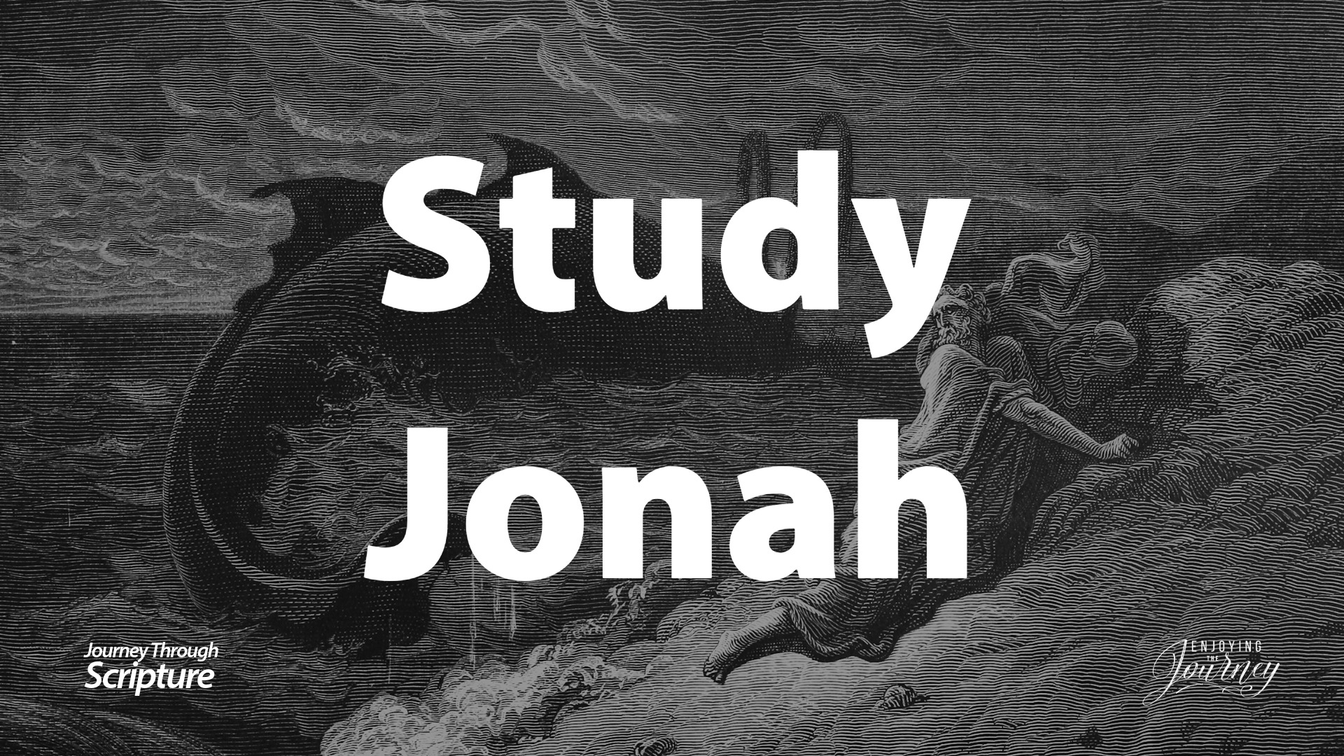 Study Jonah - Enjoying the Journey