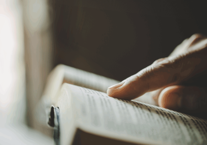 FREE Parables of Jesus Study Guide - Enjoying the Journey